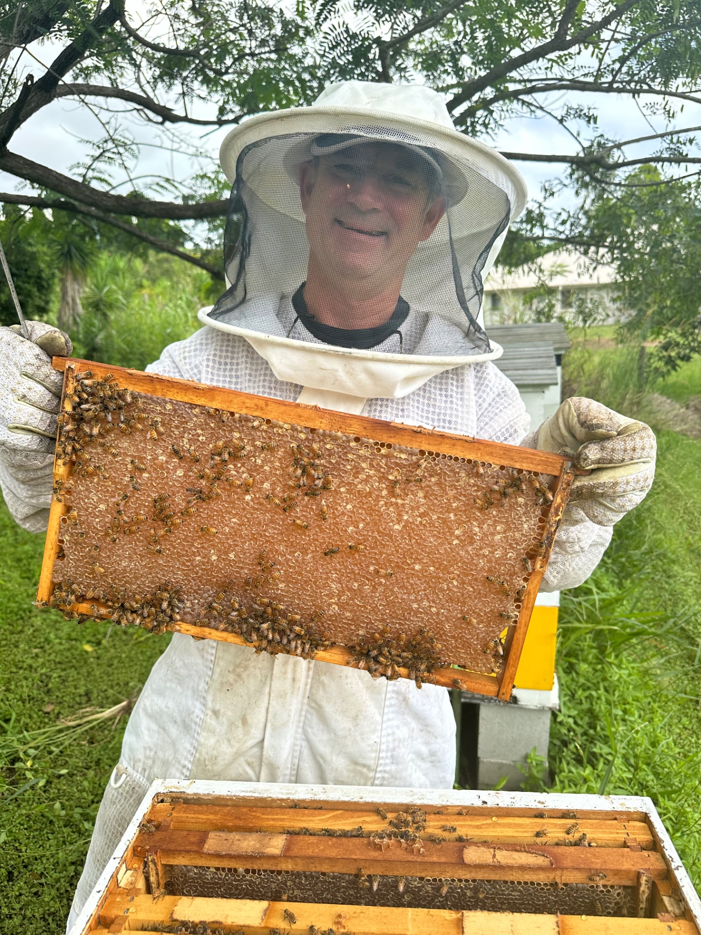 Hive Near Me | Buy Local Honey & Sell Honey Online in Australia